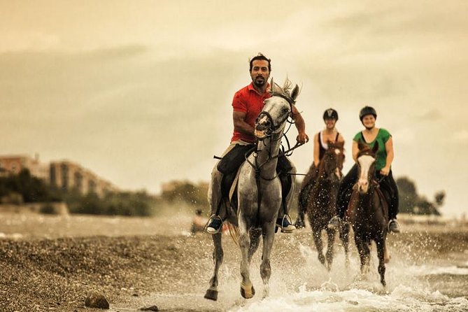 Horseback Riding From Kusadasi Port For Cruise Guests - The Ride Itself: Forest Trails and Beach Access