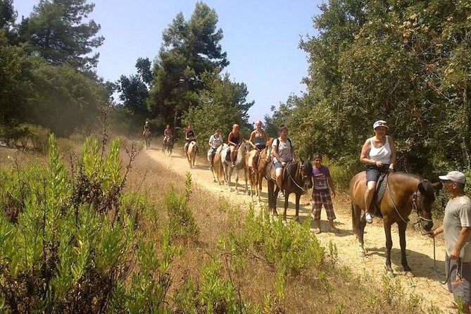 Horseback Riding From Kusadasi Port For Cruise Guests - Pricing and Value for Money