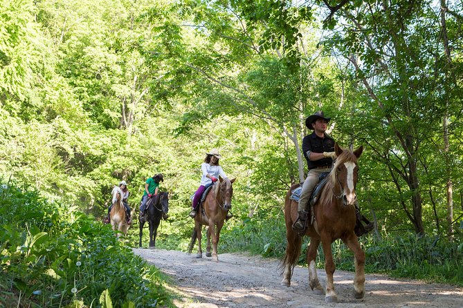 Horseback-Riding in a Country Side in Sapporo - Private Transfer Is Included - Safety Considerations and Requirements