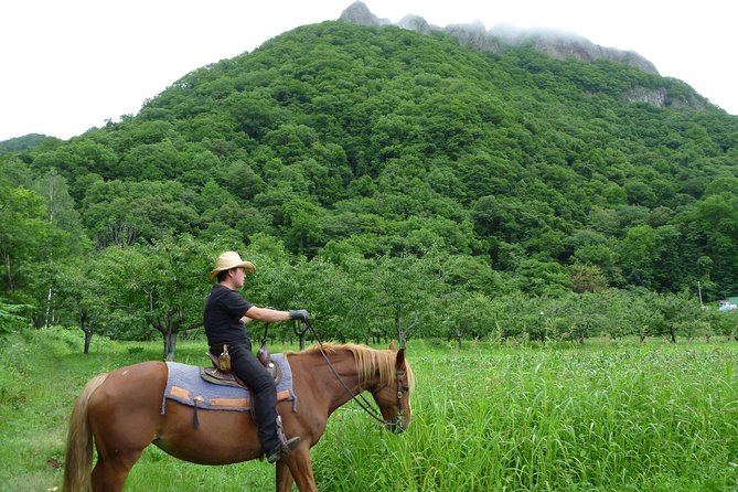 Horseback-Riding in a Country Side in Sapporo - Private Transfer Is Included - Suitability for Travelers