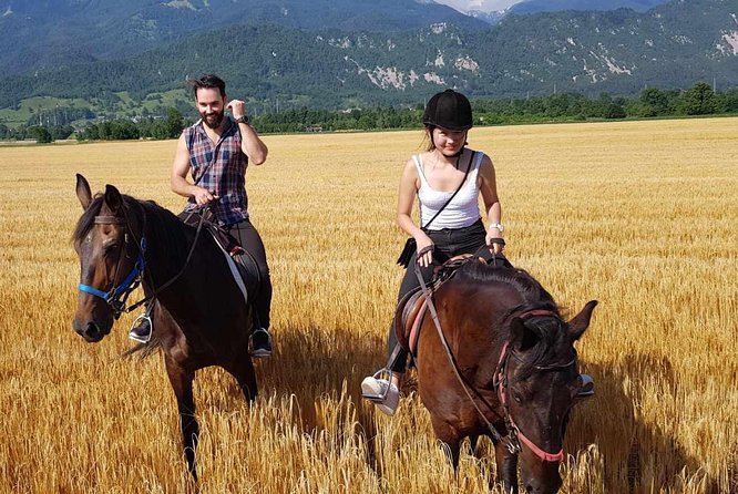 Horseback Riding In Bled - Tailored Riding Experiences for All Skill Levels