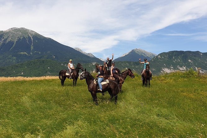 Horseback Riding In Bled - Traveler Feedback: An Unforgettable Adventure