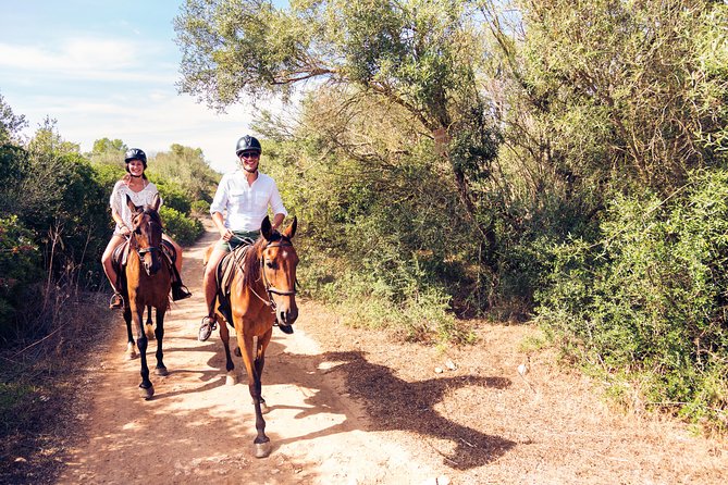 Horseback Riding in Bodrum - Transportation and Pickup Arrangements