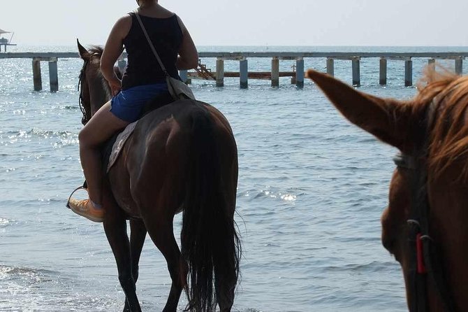 Horseback Riding in Bodrum - Preparation and Recommended Attire