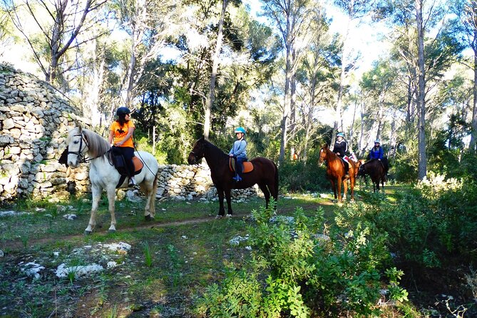 Horseback Riding in Cala Mitjana, Menorca, Spain - Meeting Point and Schedule
