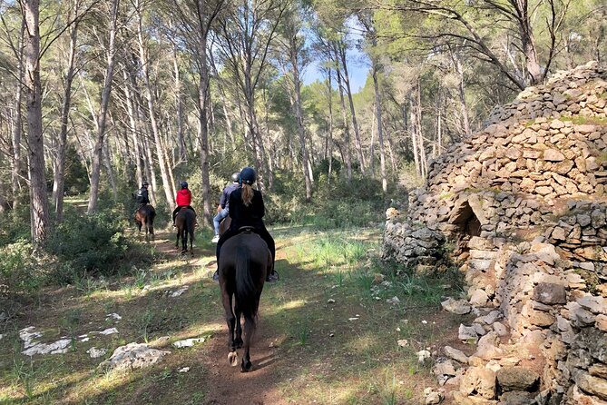 Horseback Riding in Cala Mitjana, Menorca, Spain - Customer Feedback and Reviews