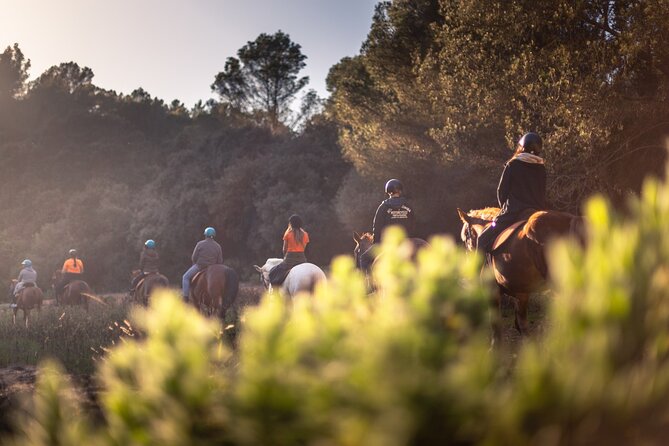 Horseback Riding in Cala Mitjana, Menorca, Spain - Suitability for Beginners and Families