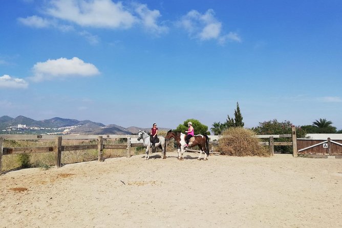 Horseback Riding in Cartagena (Spain) - Who Should Consider This Tour?