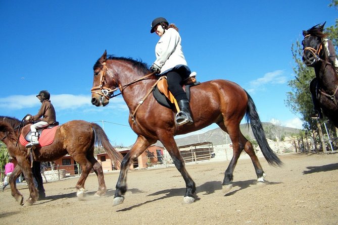 Horseback Riding in Fuerteventura for 1 or 2 hours, Spain - What Makes the Tour Special