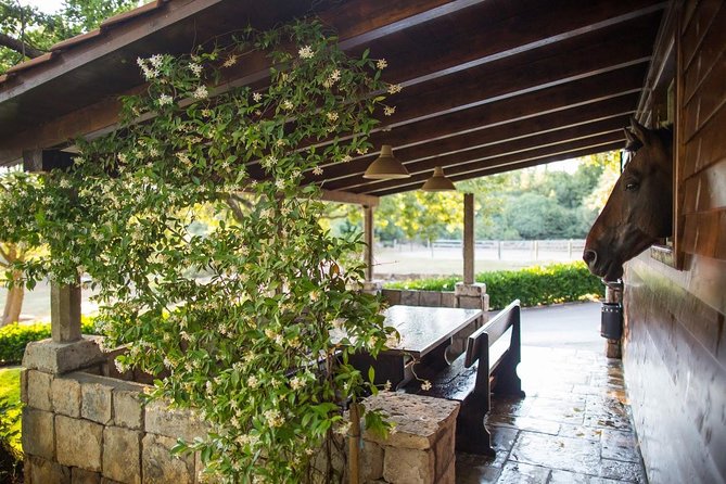 Horseback Riding in Konavle Region With Transport From Dubrovnik - Personalized Attention and Horse Assignments