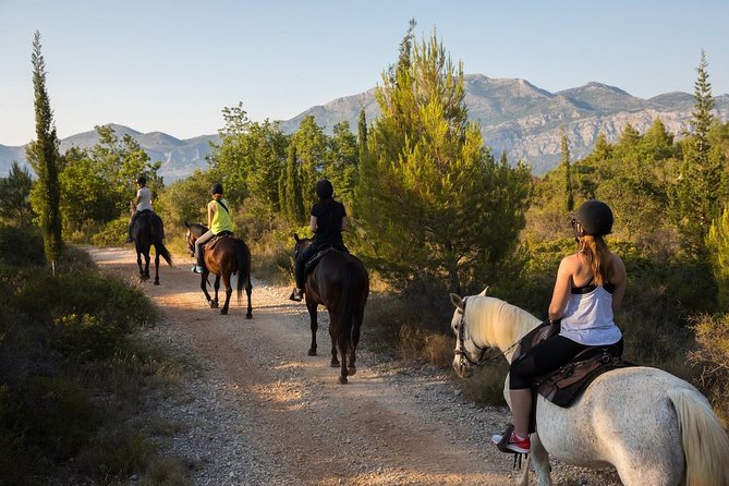 Horseback Riding in Konavle Region With Transport From Dubrovnik - Delightful Local Refreshments and Snacks