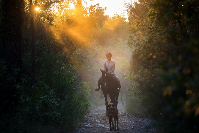 Horseback Riding in Konavle Region With Transport From Dubrovnik - Accessible Transportation and Accommodations
