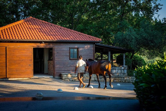 Horseback Riding in Konavle Region With Transport From Dubrovnik - Recommendations for Participants
