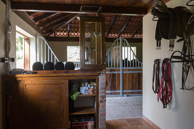 Horseback Riding in Konavle Region With Transport From Dubrovnik - Exceptional Customer Feedback and Ratings