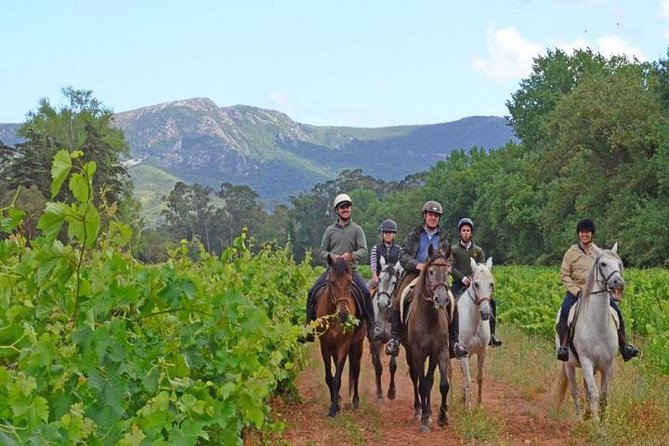 Horseback Riding In Lisbon - Arrábida - Louro Trail Mountain 5 - 6 Hours - Exploring the Nature Park of Arrábida