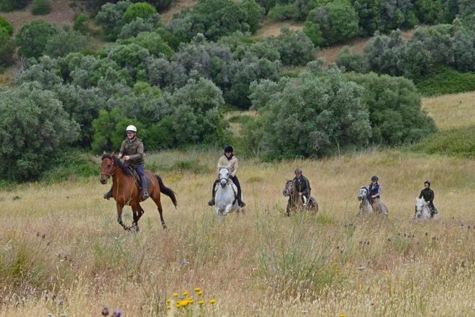 Horseback Riding In Lisbon - Arrábida - Louro Trail Mountain 5 - 6 Hours - Lunch and Wine Tasting