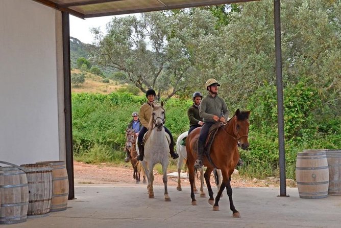 Horseback Riding In Lisbon - Arrábida - Louro Trail Mountain 5 - 6 Hours - Meeting and Pickup Details