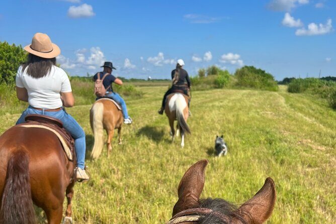 Horseback Riding in Miami - FAQ