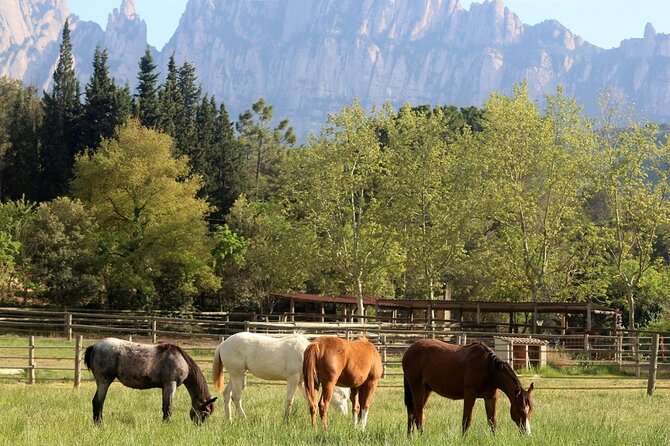 Horseback Riding in Montserrat Mountain Natural Park, Barcelona - 1 to 2 hrs - Who Will Love This Tour?
