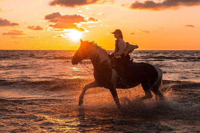 Horseback riding in Punta Cana - Discover the Authentic Beauty of Punta Cana on a Horseback Ride
