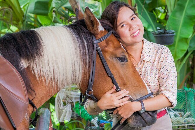 Horseback riding in Punta Cana - Key Points