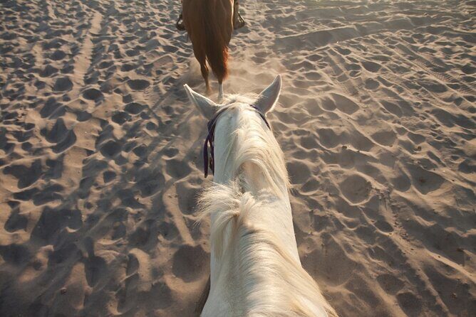 Horseback riding in Punta Cana - FAQs