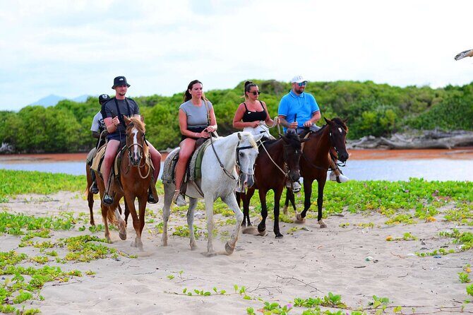 Horseback riding in punta cana beach and Bayahibe - Introduction to the Tour Experience
