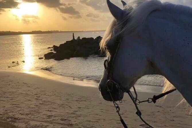 Horseback Riding in Sayulita Through Jungle Trails to the Beach - FAQ