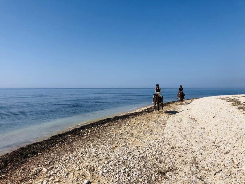 Horseback riding in the beaches of Sciacca - Final thoughts