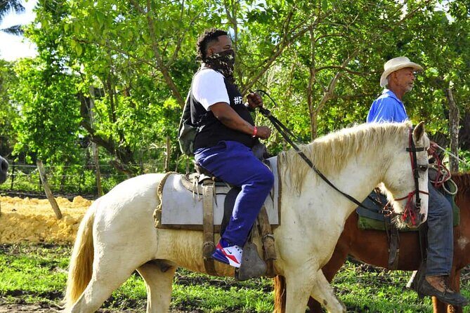 Horseback Riding in the Dominican Jungle - FAQ: Practical Questions About the Tour