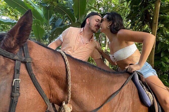 Horseback Riding In The Ocean from Montego Bay Private Transfer - The Sum Up