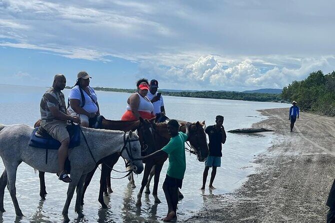 Horseback Riding in the Ocean from Ocho Rios & Runaway Bay - The Review Highlights: Authenticity and Quality
