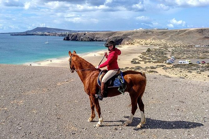 Horseback Riding in the sunset of Famara Beach, Lanzarote, Spain - What to Expect from the Famara Beach Sunset Ride