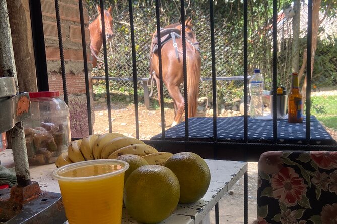 Horseback Riding Near Medellin - Navigating the Colombian Hills