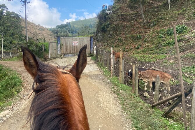 Horseback Riding Near Medellin - Camaraderie and Shared Experiences