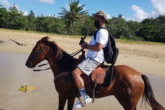 Horseback Riding on the Beach - An Authentic Horseback Ride Along Puerto Plata’s Beaches