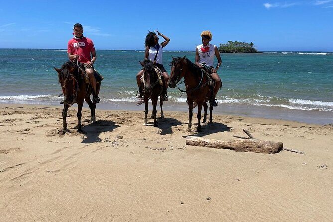 Horseback Riding on the Beach - A Balanced Look at the Experience