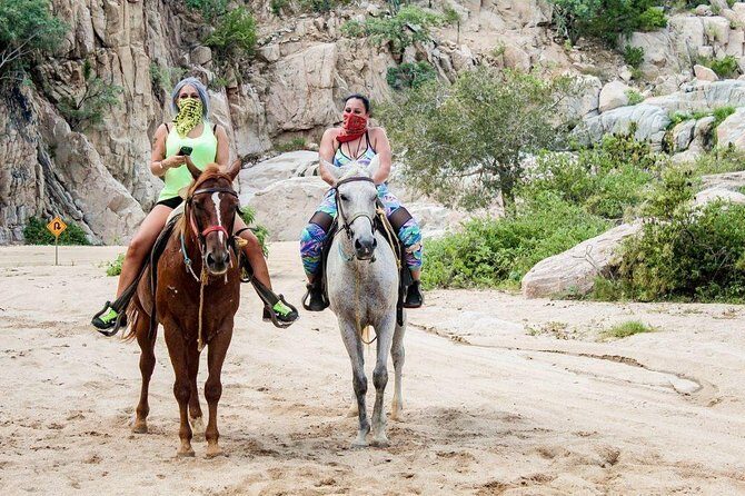 Horseback Riding on The Beach and Through The Desert! - What Makes This Tour Stand Out?