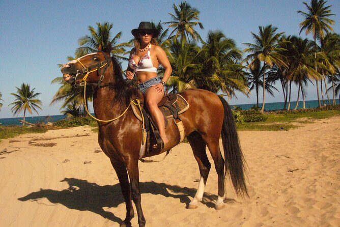 Horseback Riding on the Beach Free Transportation - What is the Experience Like?