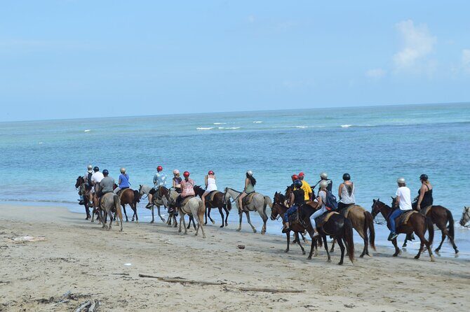 Horseback Riding on the Beach Free Transportation - Visualize the Experience