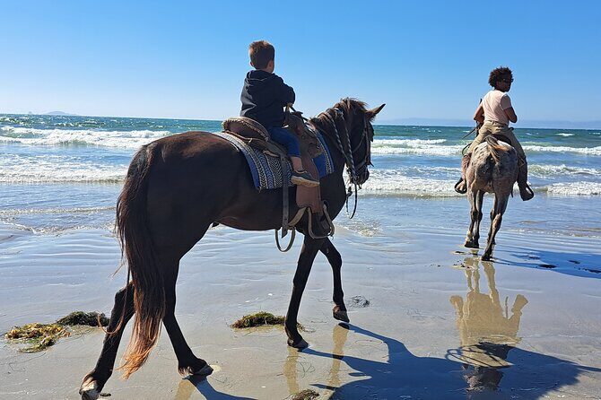 Horseback Riding on the Beach from Ensenada - An Overview of What You Can Expect