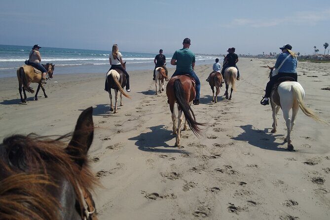 Horseback Riding on the Beach from Ensenada - Value for Money