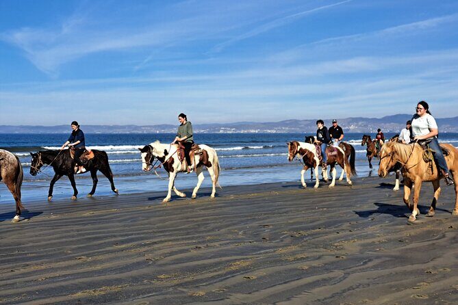 Horseback Riding on the Beach from Ensenada - Practical Considerations
