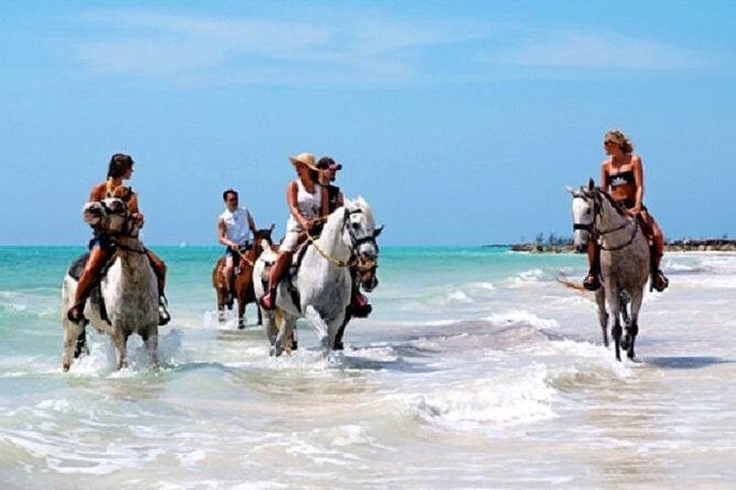 Horseback Riding on the Beach in Punta Cana (One Hour) - Comprehensive Breakdown of the Experience