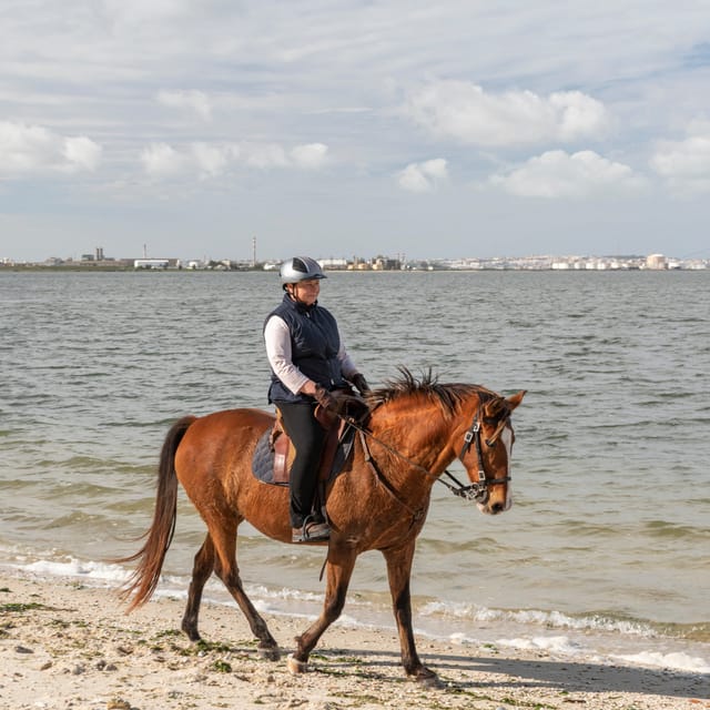 Horseback Riding On The Beach + Tapas + Photo Report - PDT - FAQ