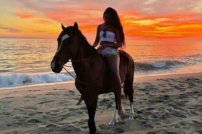 Horseback Riding on the Beaches of Holbox - Authentic Experiences and Honest Feedback