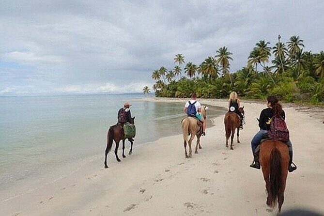 Horseback Riding on the Beaches of Punta Cana - Practical Details and What to Expect