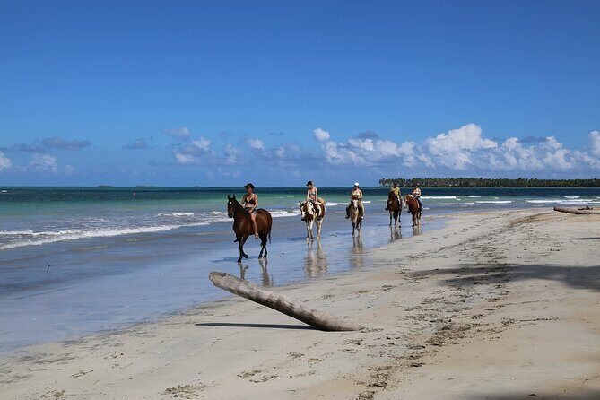 Horseback Riding on the Beaches of Punta Cana - The Sum Up
