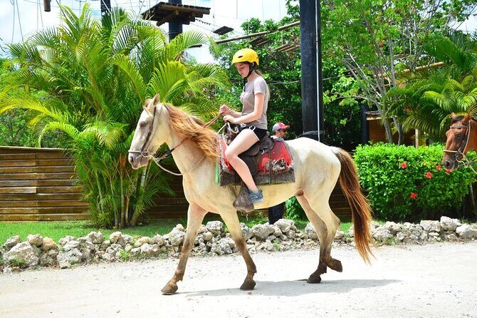 Horseback Riding on the Stunning Beaches of Punta Cana - The Itinerary: What to Expect from Start to Finish