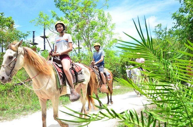 Horseback Riding on the Stunning Beaches of Punta Cana - Modifying Expectations for a Better Experience